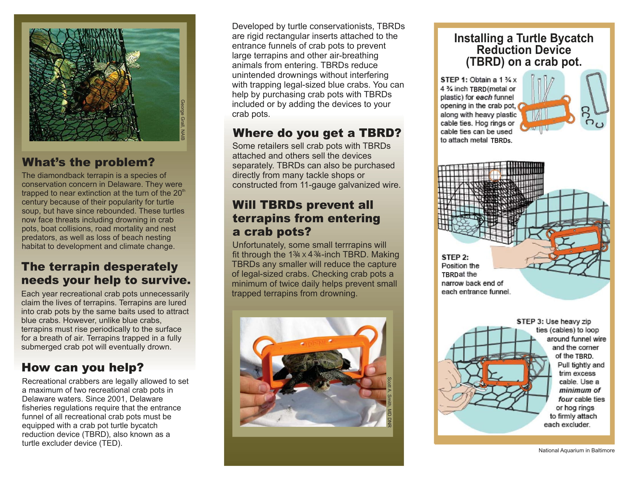 Crabbing Season Is Open For Crab Pots You can Make Your Own Turtle ...