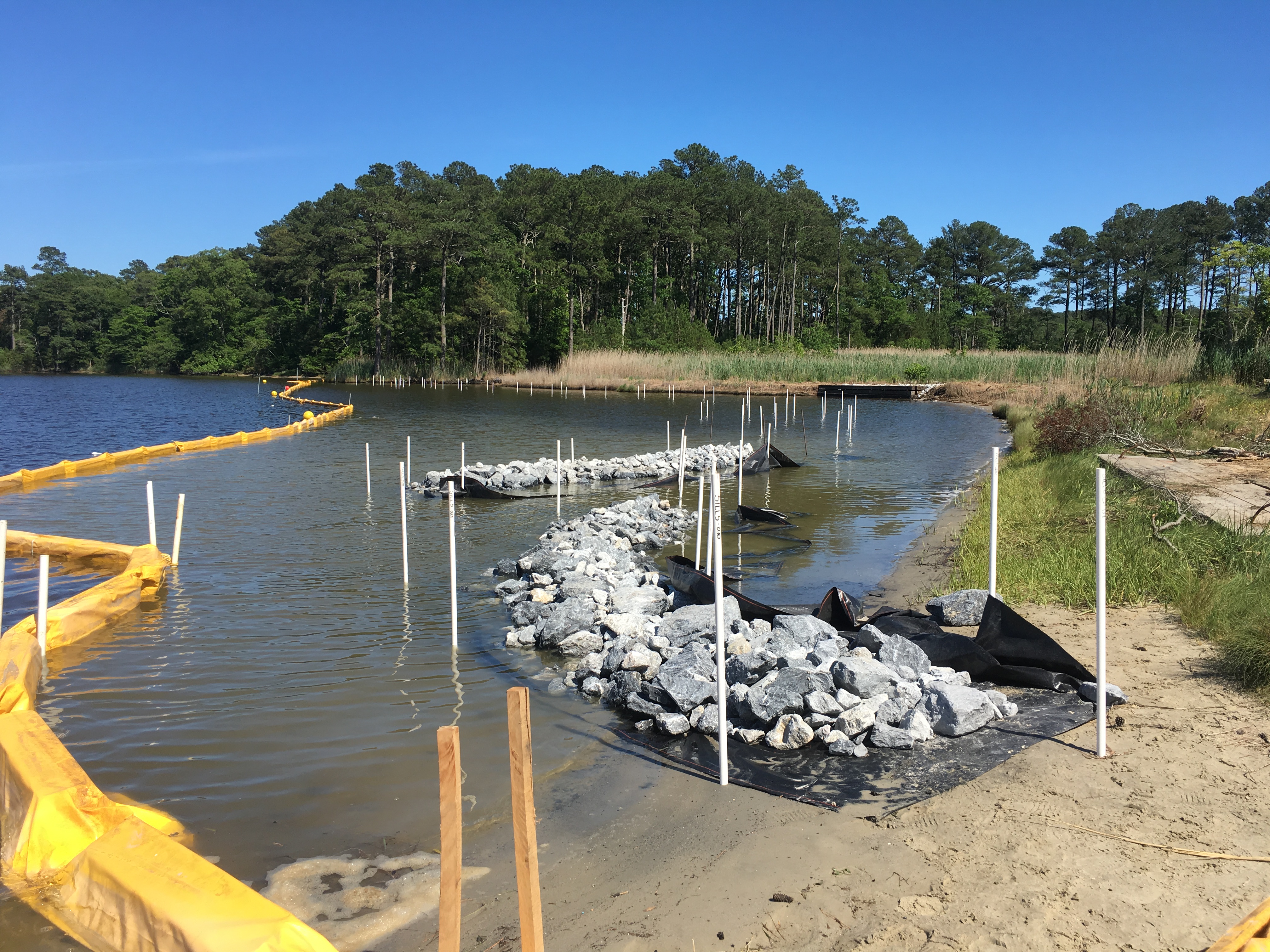 Living Shoreline at Sassafras Landing Completed! - delaware-surf ...