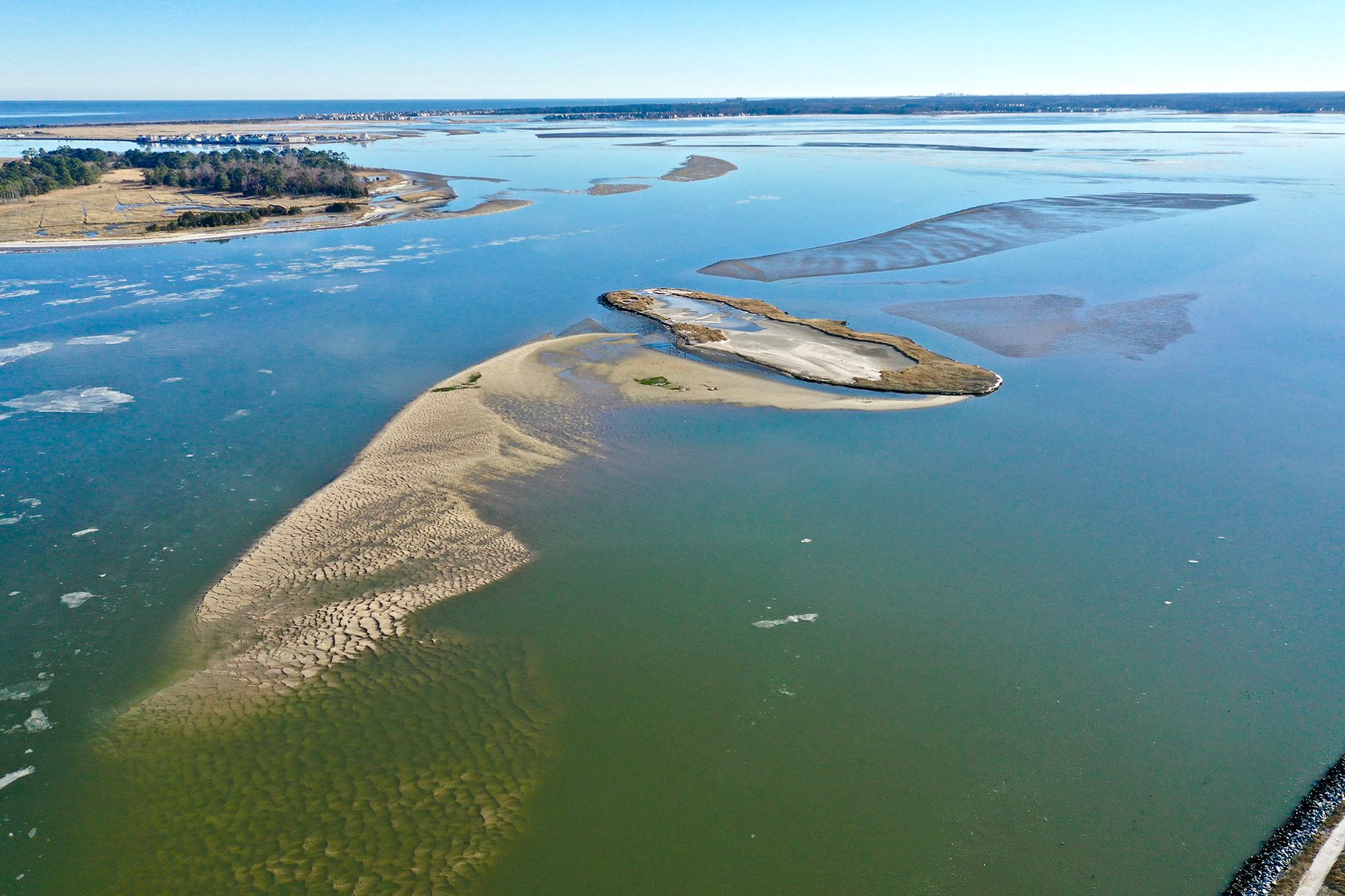 Please Stay Off Middle Island Or "Bird Island" in The Inland Bays ...
